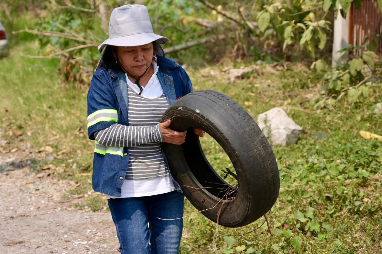 Exhorta Salud Municipal reforzar acciones preventivas para el mosco del dengue | H. Ayuntamiento ...